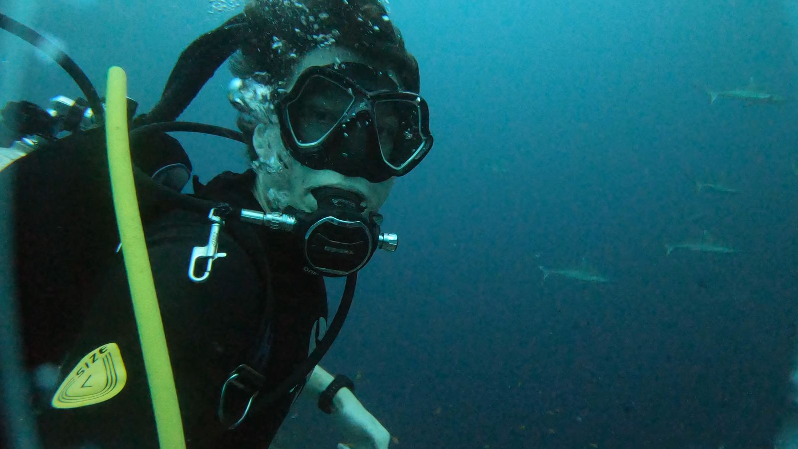 Julien Launay | Adventures in Academia and Beyond